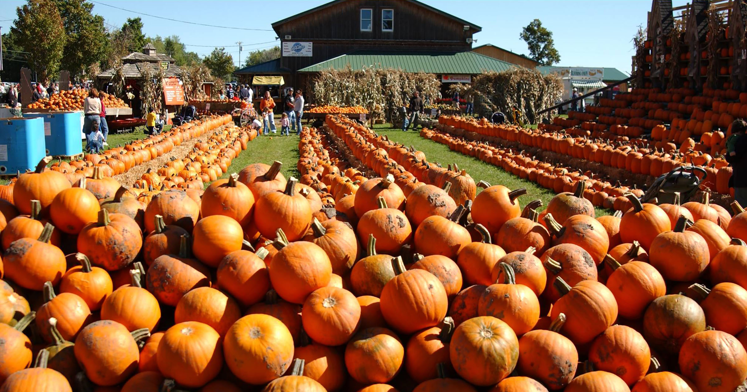 Fall Guide to Buffalo, NY: Things To Do, Events & Activities