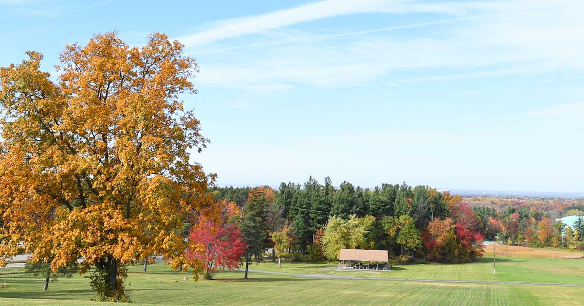 Buffalo’s Best Fall Scenic Drives for Leaf Peeping