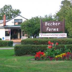 Niagara Wine Trail & Trail Map | Visit Buffalo Niagara NY