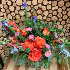 Springville, NY: Things To Do, Restaurants & Hotels