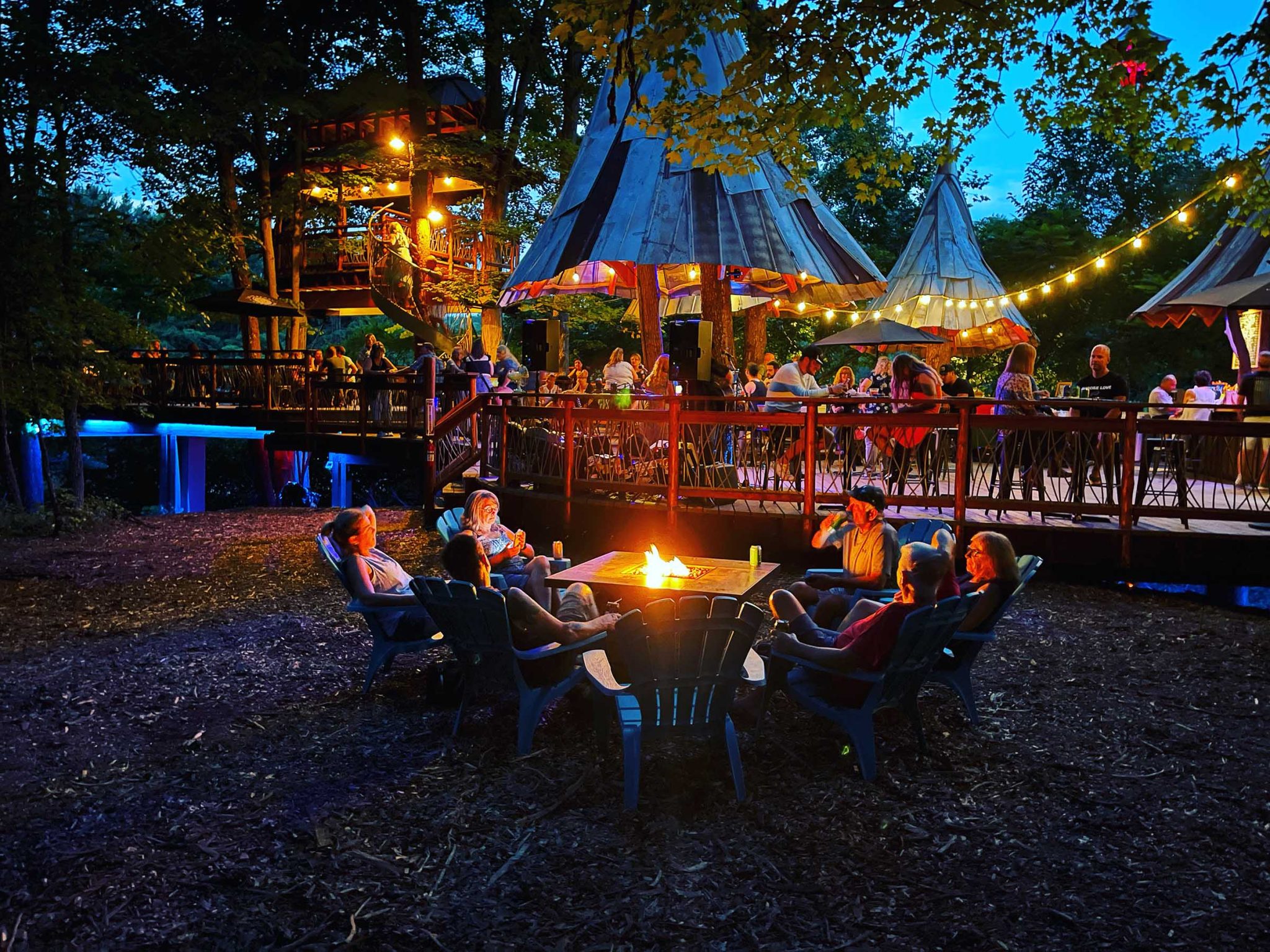 The Treehouse Café: A Blueberry Wonderland