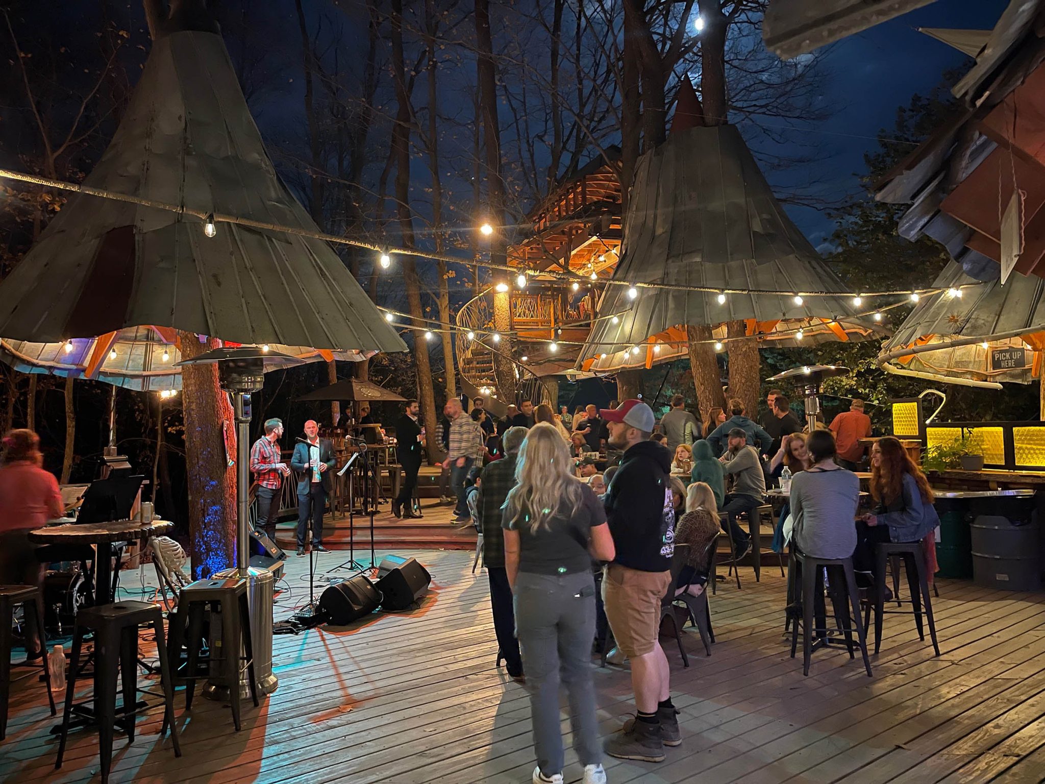 The Treehouse Café: A Blueberry Wonderland